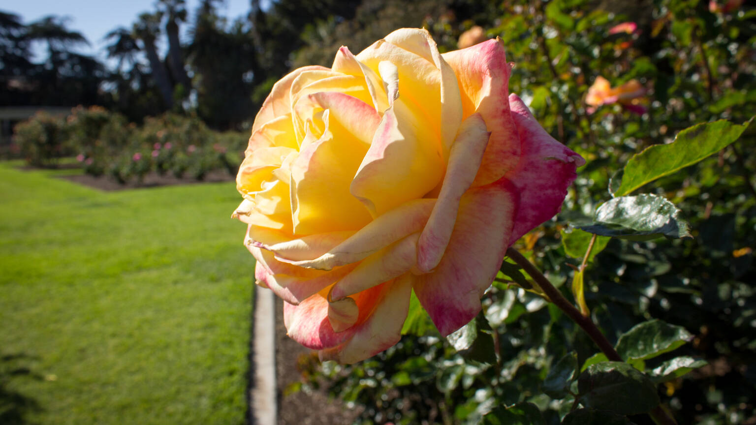 Exposition Park | Things to do in USC/Exposition Park, Los Angeles