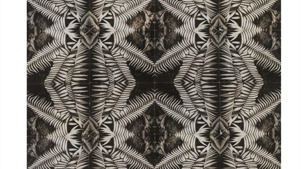 Horst P Horst – Art – Time Out London