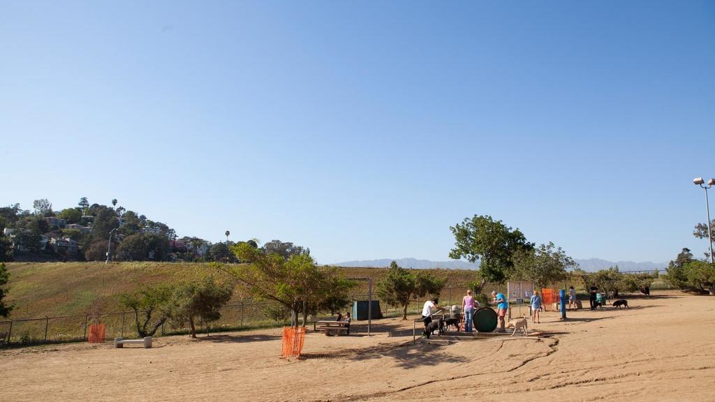 Silver Lake Reservoir | Things to do in Silver Lake, Los Angeles