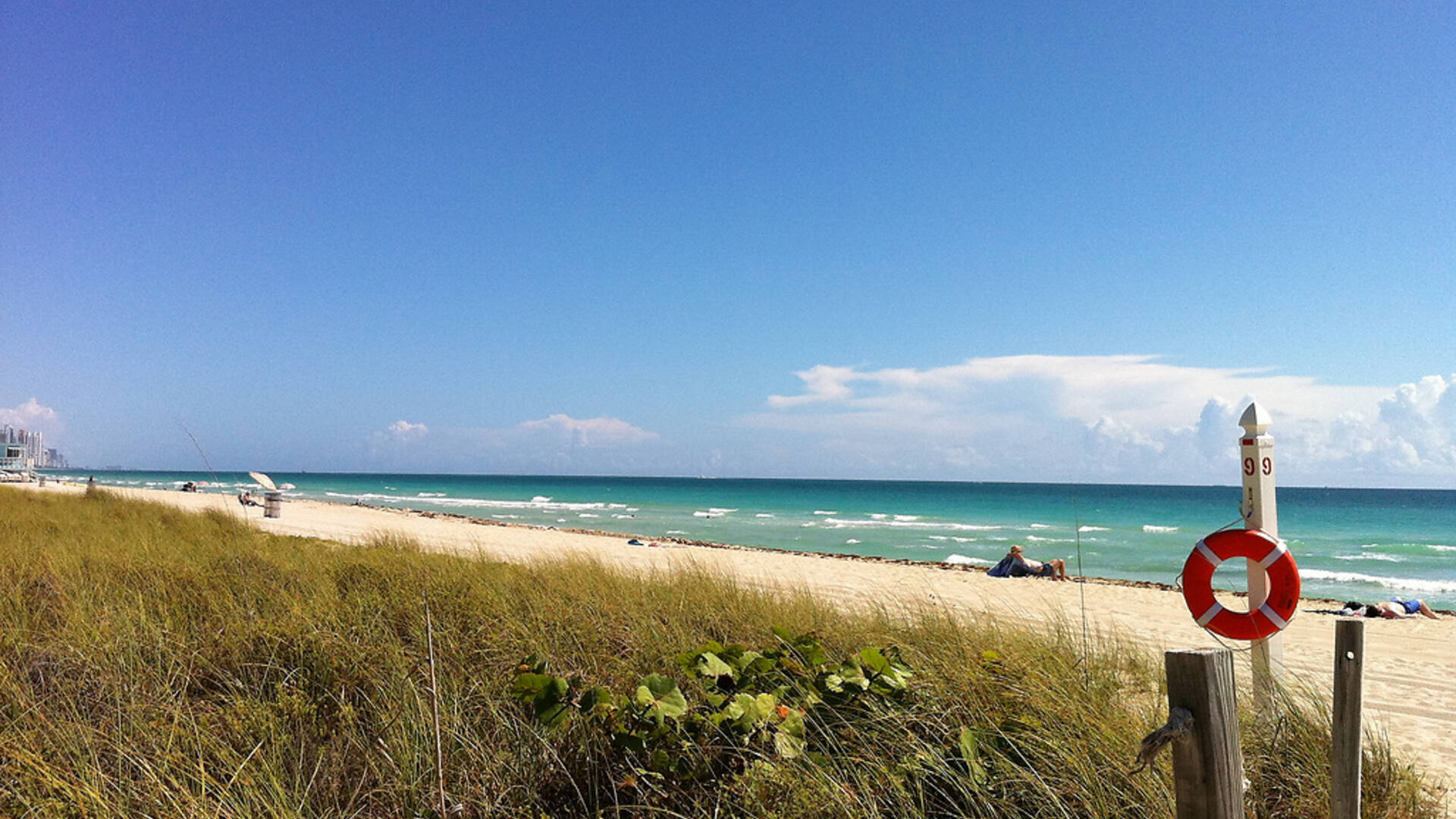 15 Best Beaches in Miami for White Sand, Aquamarine Surf and Amazing Vibes