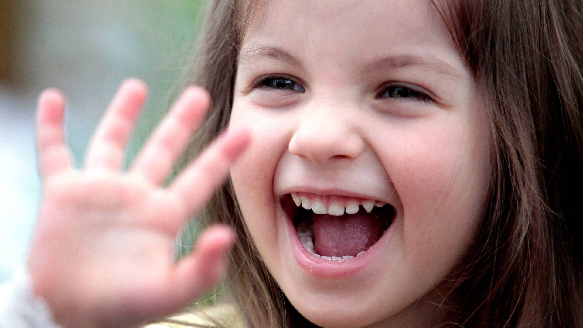 Sensational Butterflies | Things to do in London