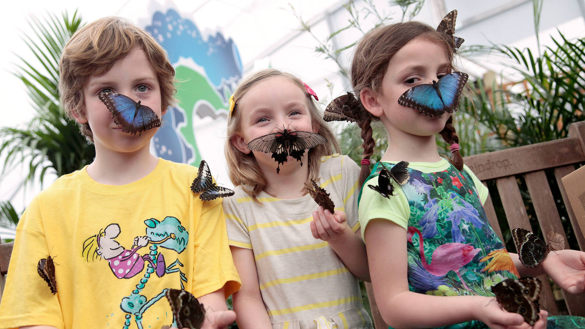 Sensational Butterflies | Things to do in London
