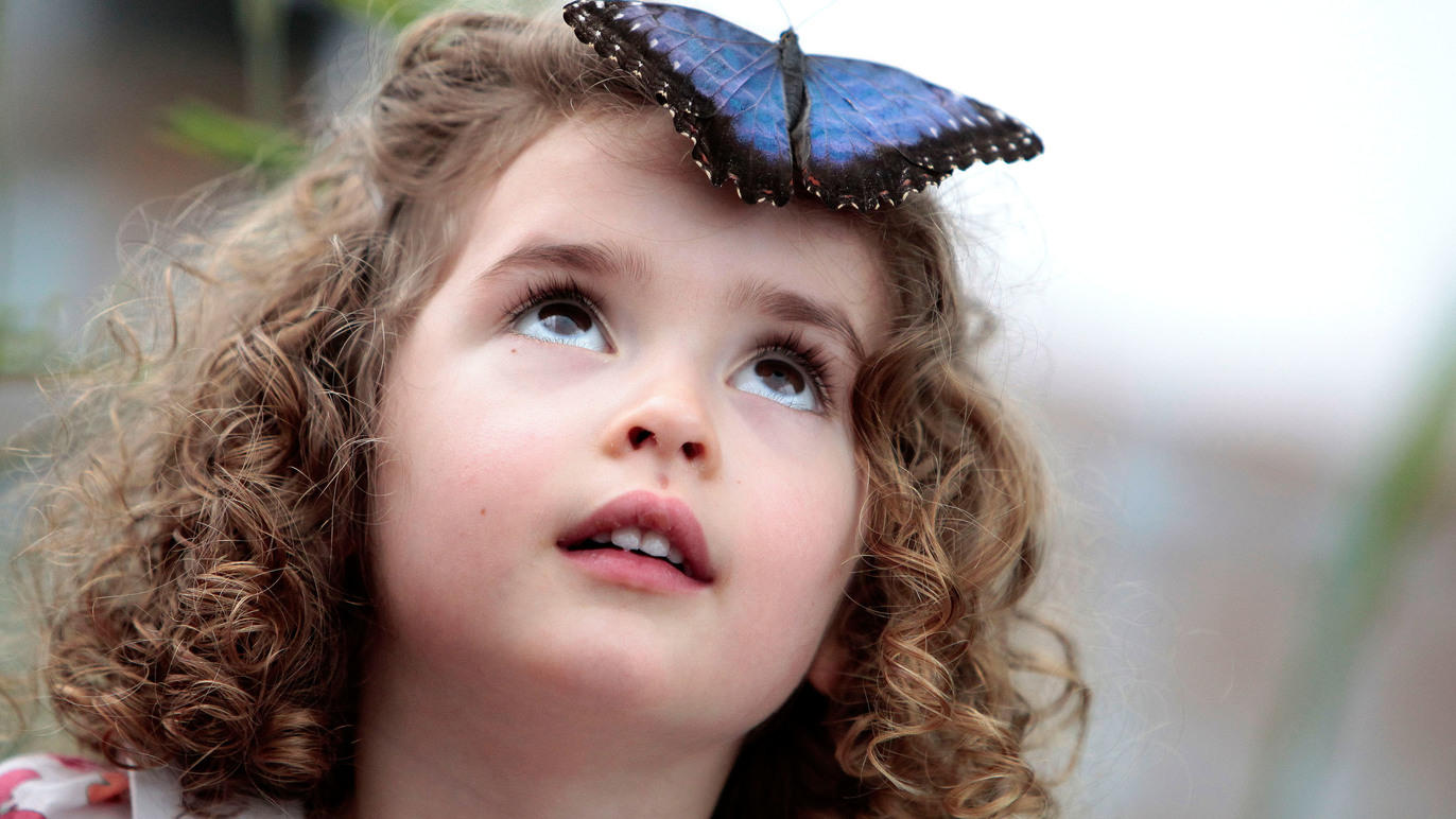 Sensational Butterflies | Things to do in London