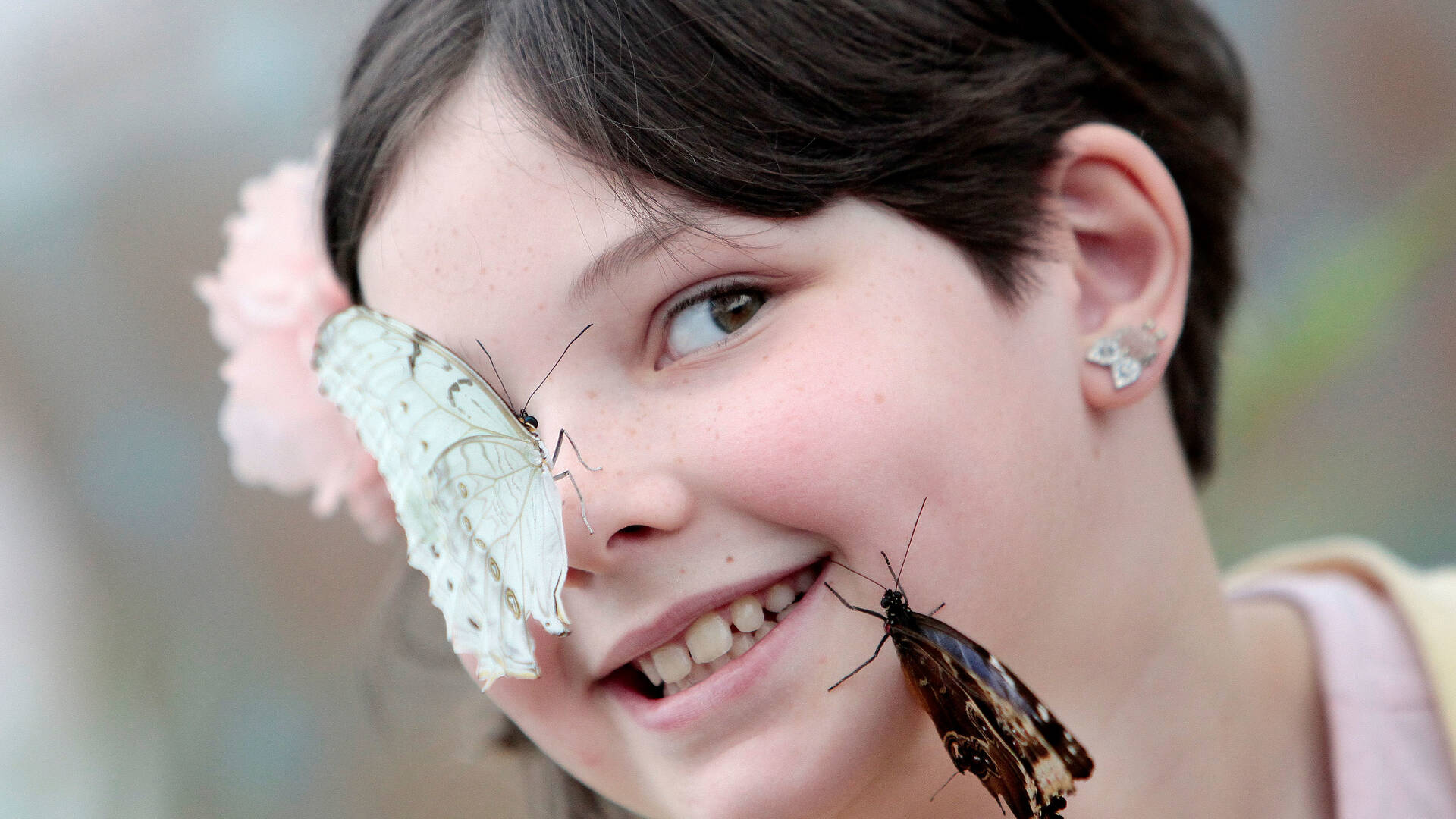 Sensational Butterflies | Things to do in London