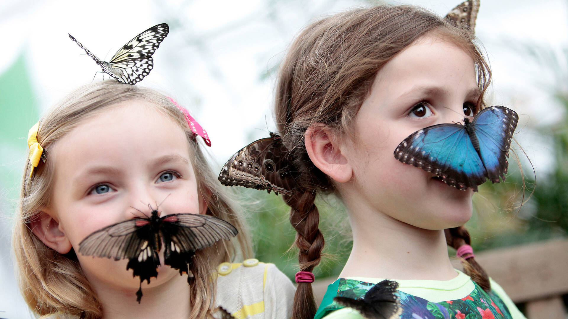 Sensational Butterflies | Things to do in London