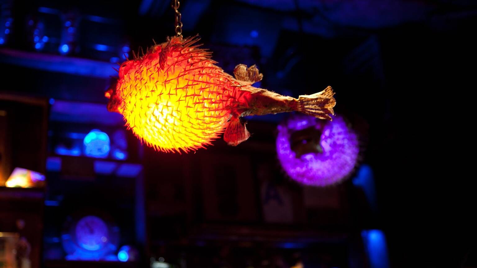 Tiki No | Bars in North Hollywood, Los Angeles