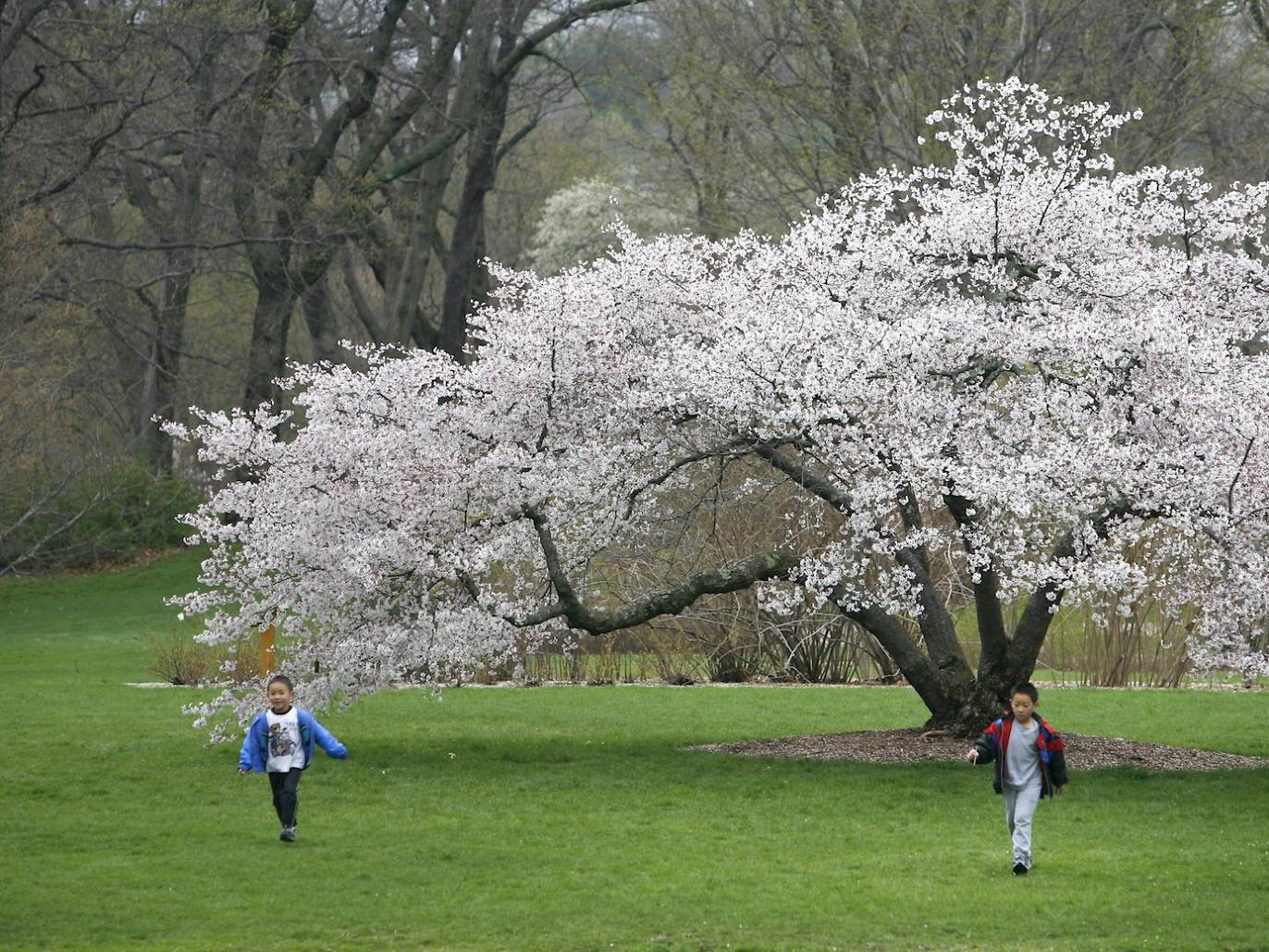 The Best Parks in Boston: 11 Green Spaces Perfect for Touching Grass