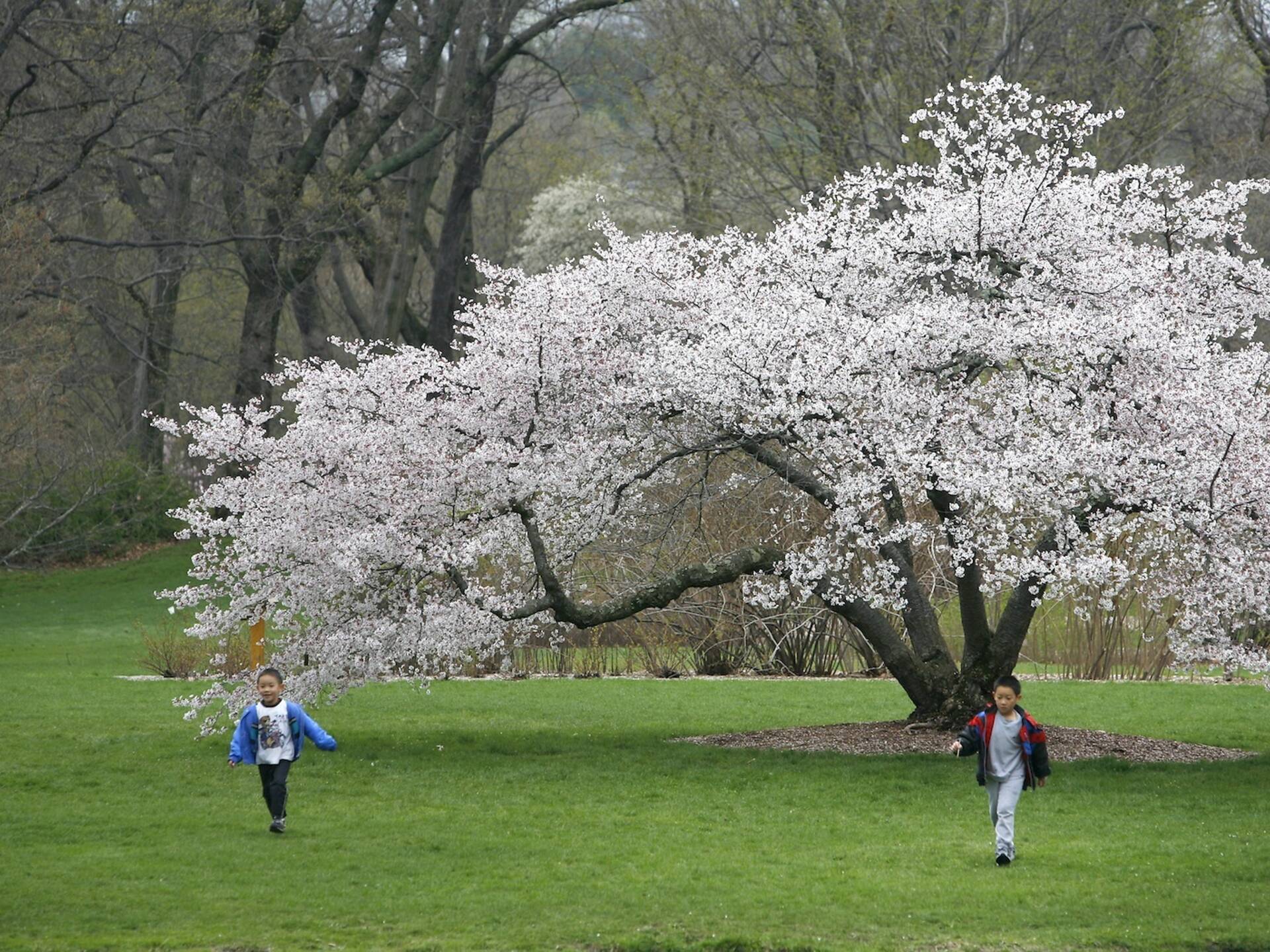 The Best Parks in Boston: 11 Green Spaces Perfect for Touching Grass