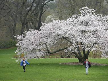 21 Best Things to Do in the Summer in Boston