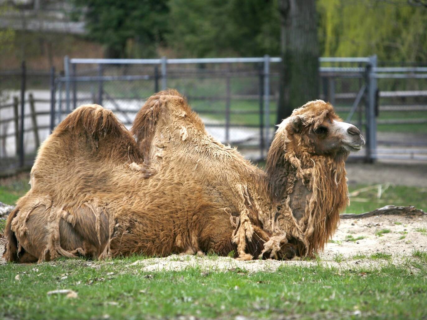 23 Best Things to Do With Kids in Boston: Fun for the Whole Family