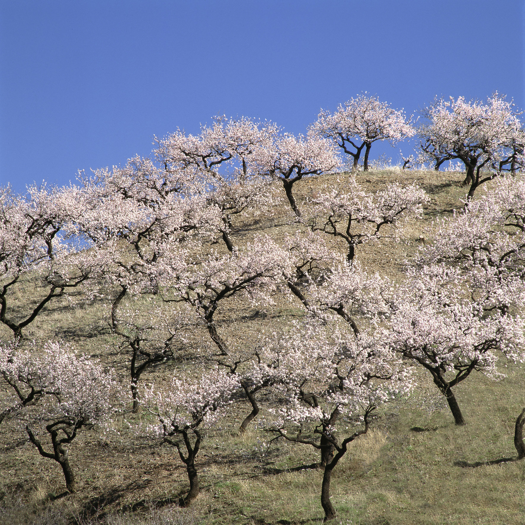 Silent Exchange: The Landscape Photography of Charlie Waite | Things to ...