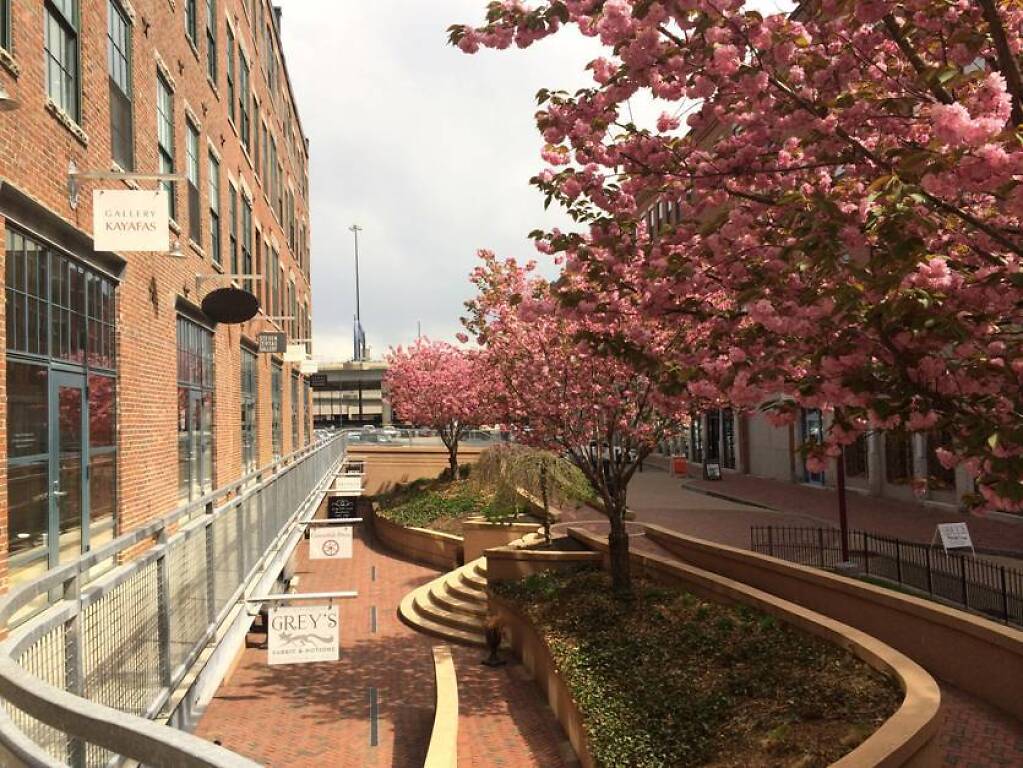 Best Boston Christmas & Holiday Markets 2023