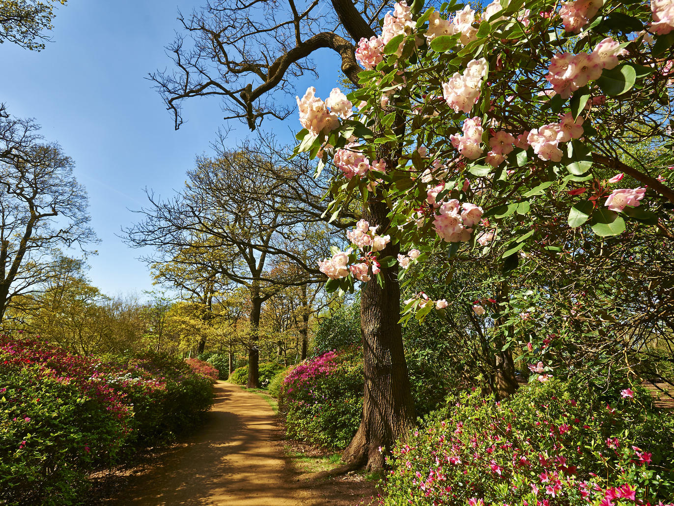 10 green spaces for urban gardeners in London