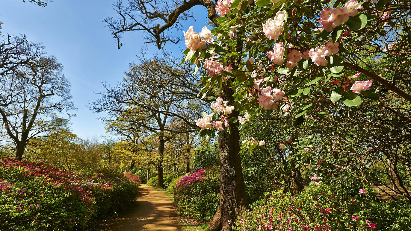 8 Great Greenhouses In London Open For Bookings