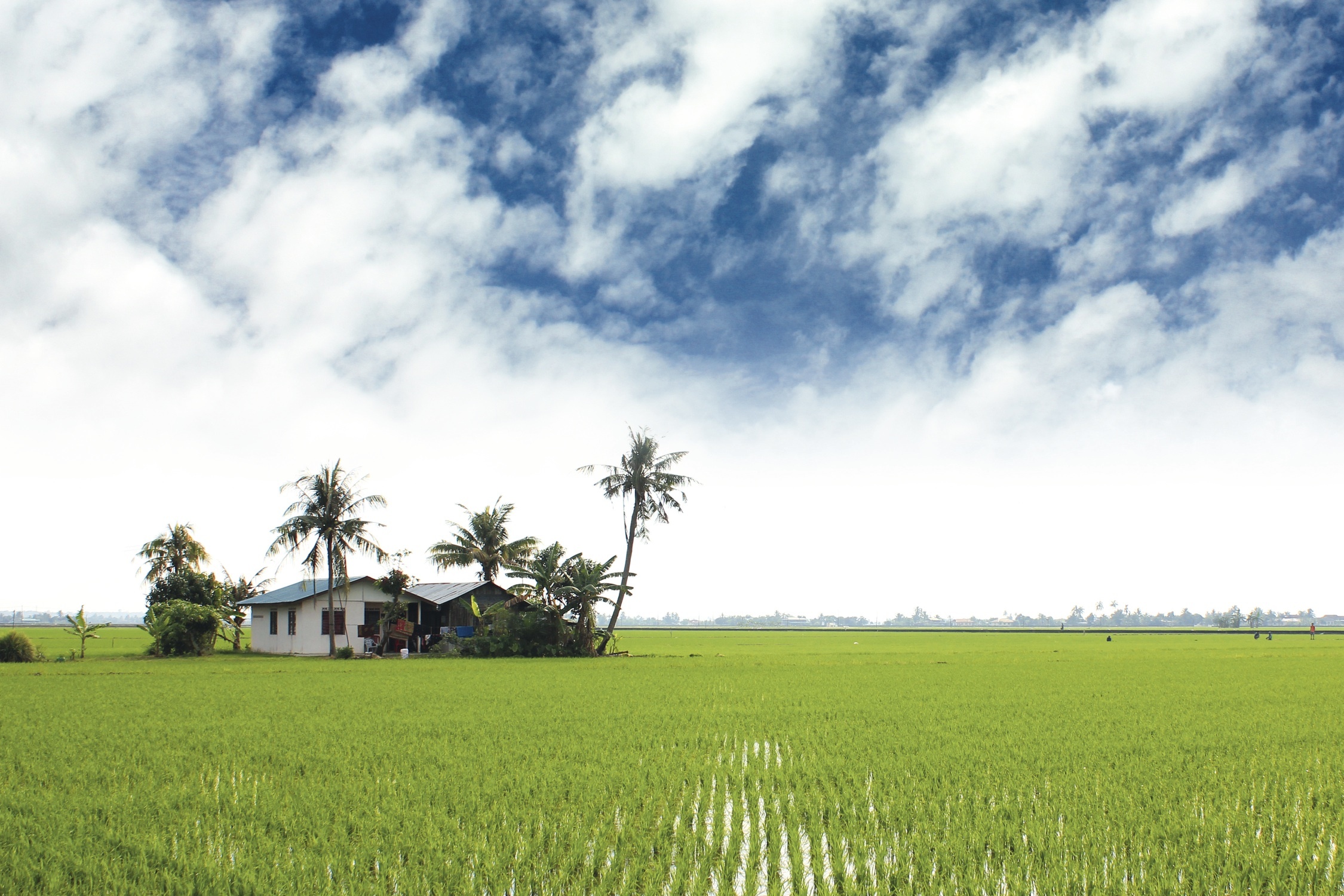 Best weekend getaways: One-day trips