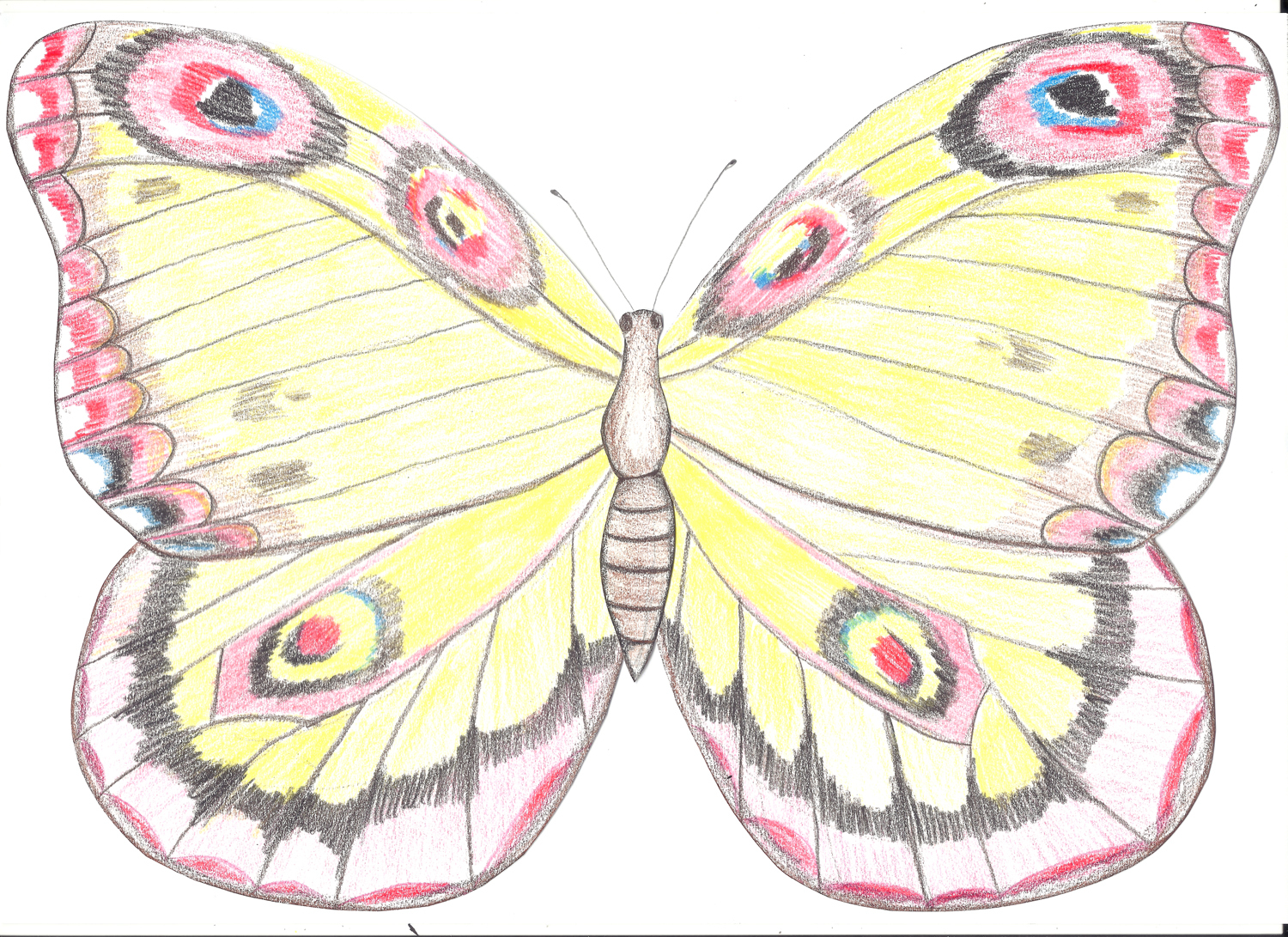 Butterfly Day | Kids in London