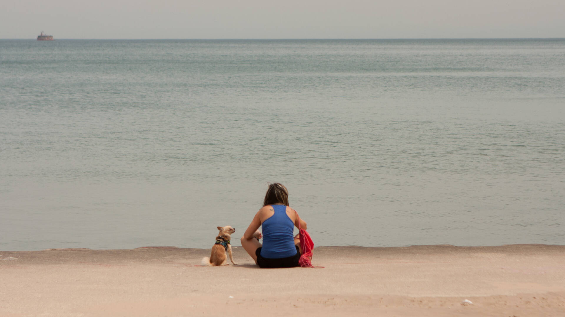 Oak Street Beach | Things to do in Gold Coast, Chicago