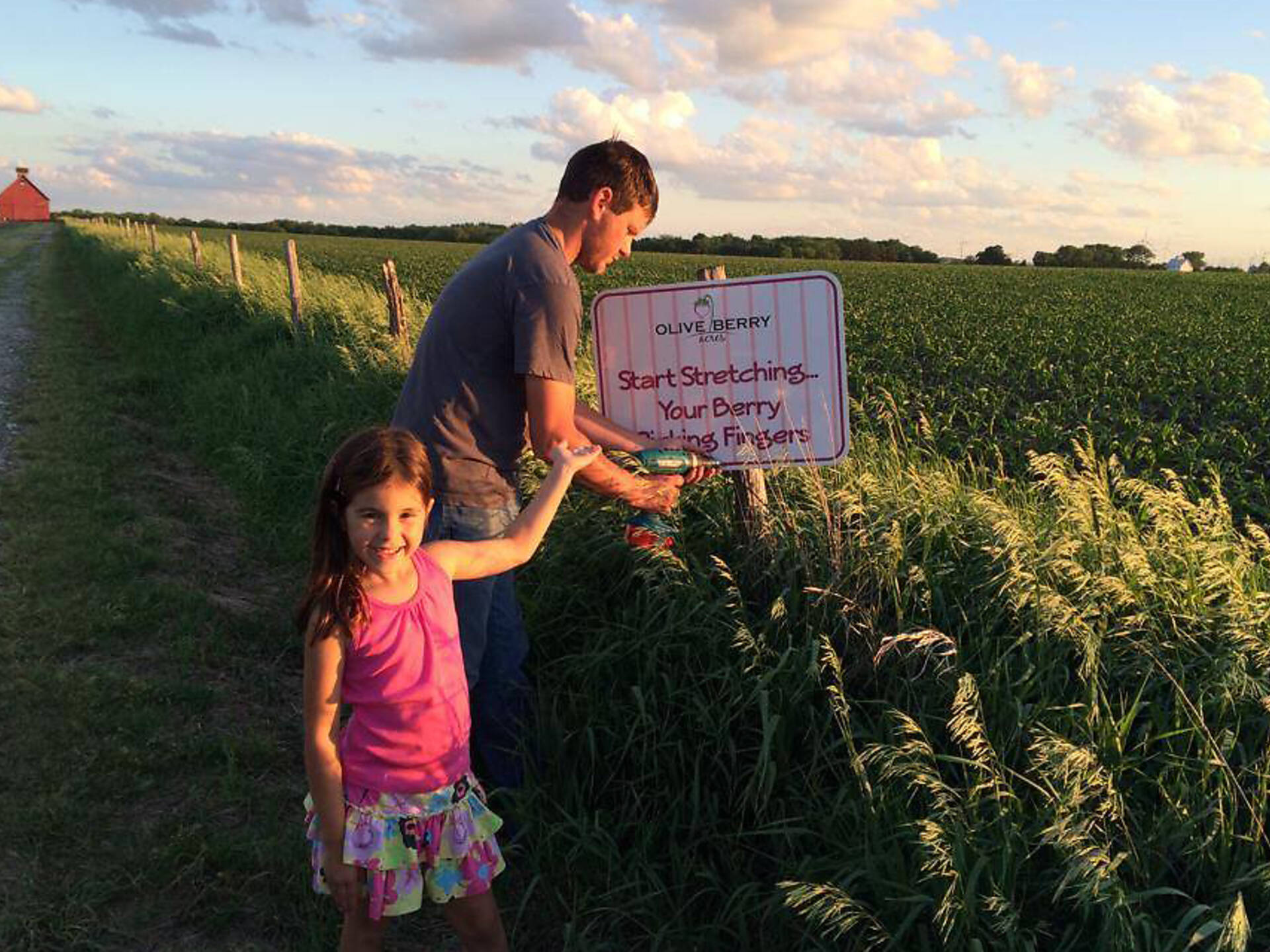 Best Berry Picking at Farms Near Chicago for Strawberries, Cherries & More