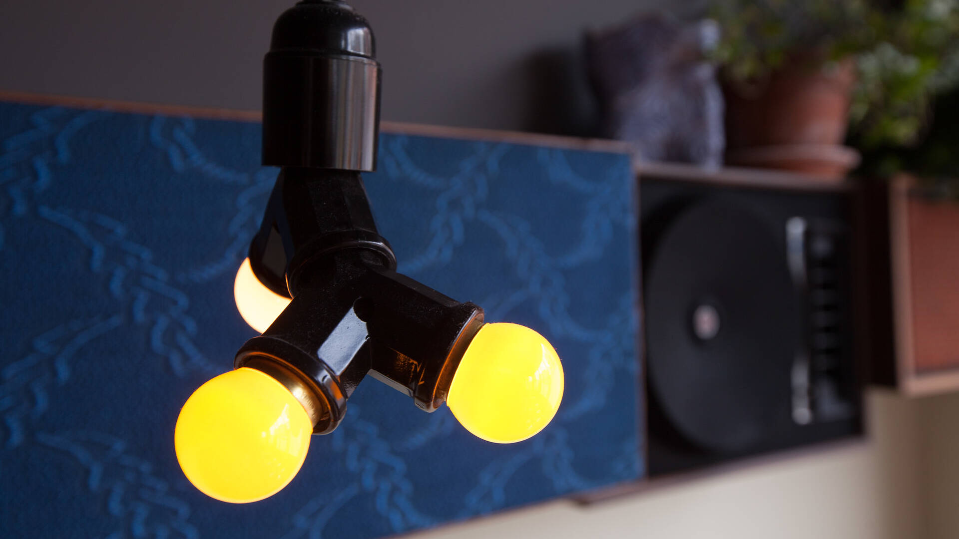 Parachute | Restaurants in Avondale, Chicago