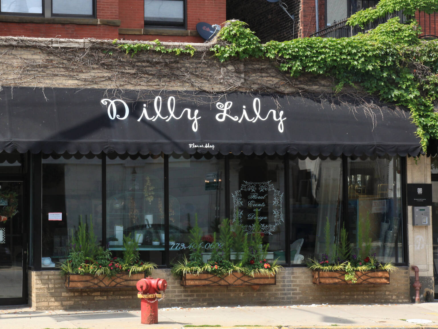 24 Chicago Flower Shops For Gorgeous Blooms