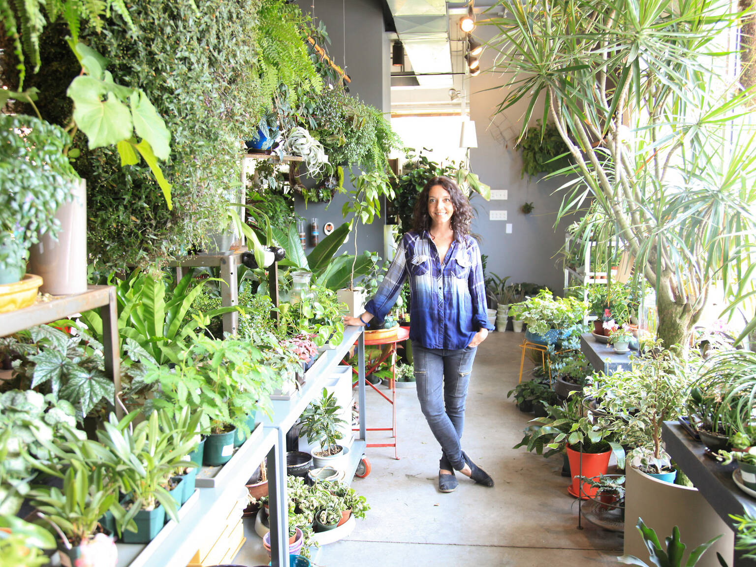 14 Chicago Plant Stores For Finding Gorgeous Home Greenery