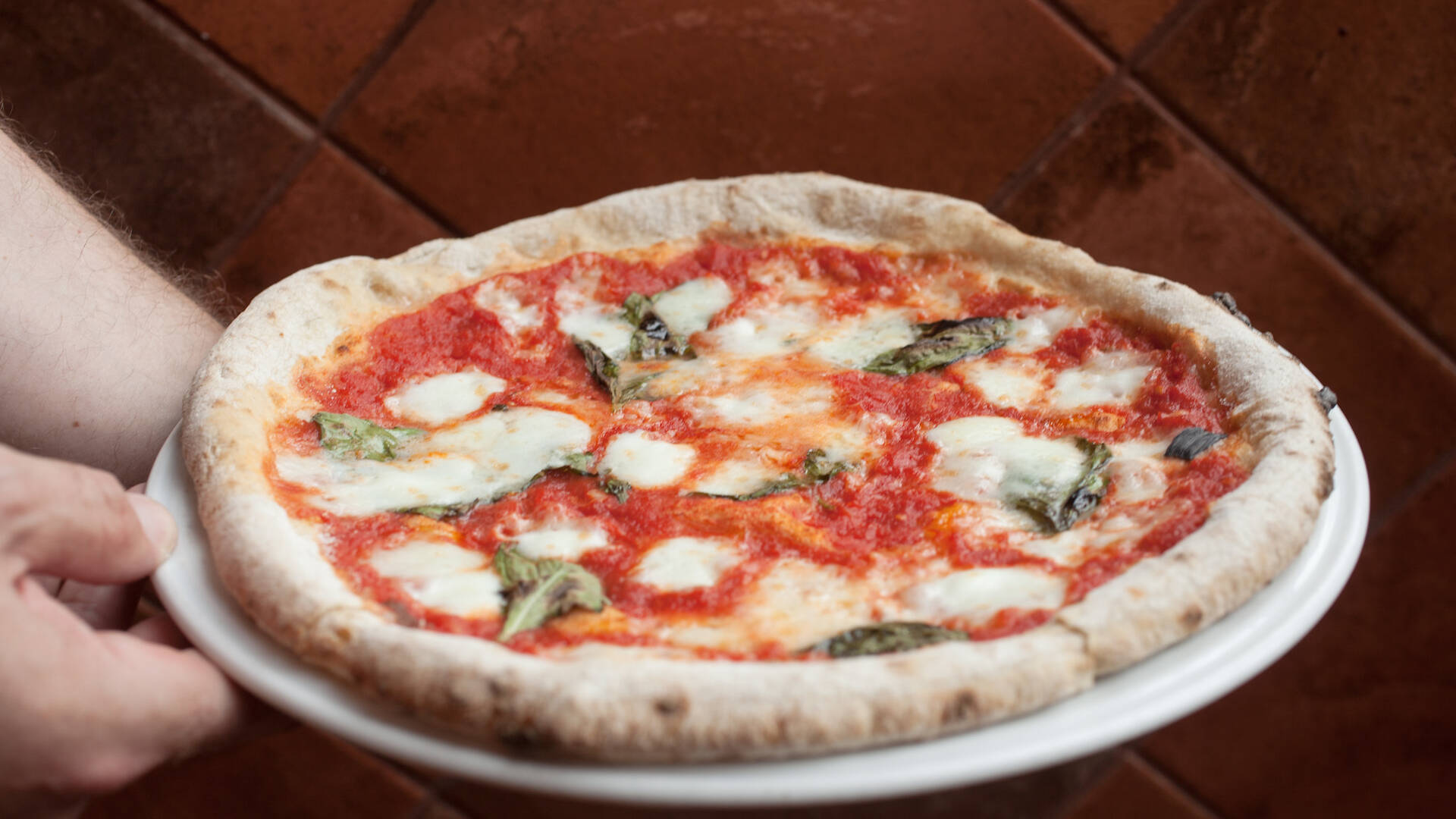 Best Thin Crust Pizza in Chicago