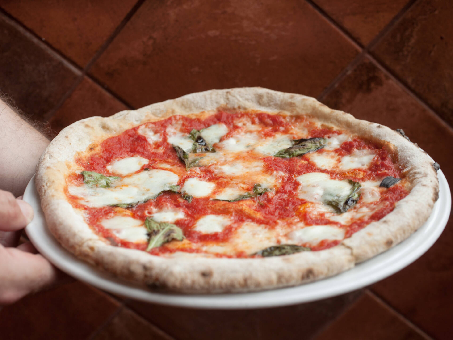 11 Best Gluten-Free Restaurants in Chicago