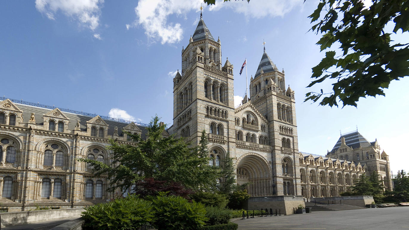 Natural History Museum, London: Everything You Need To Know