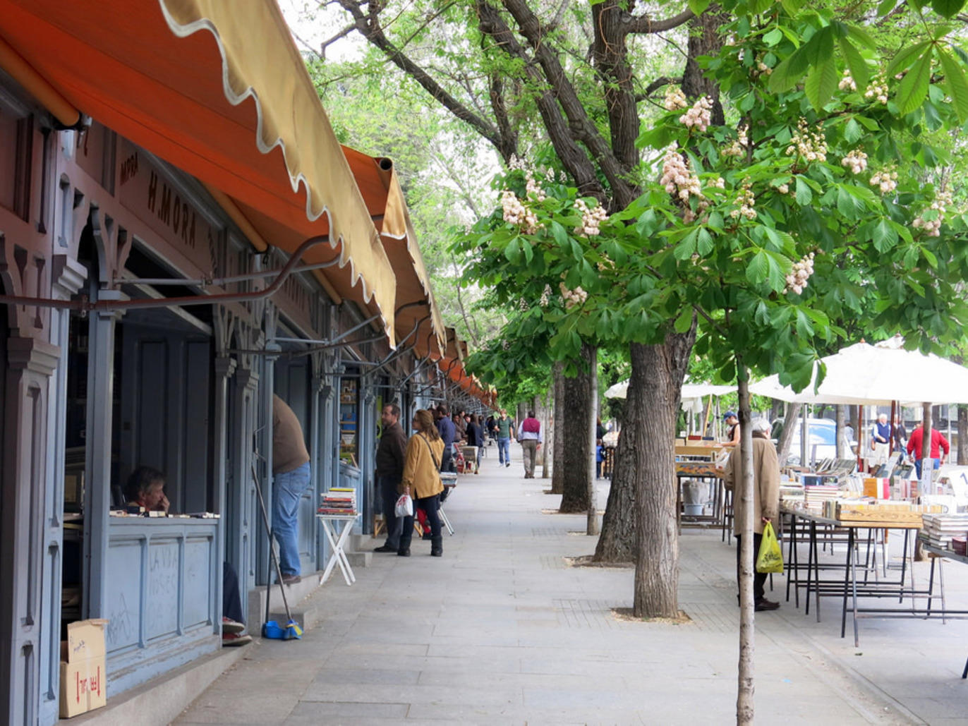 The 21 most beautiful places in Madrid