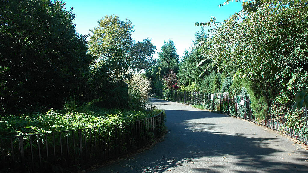 The best things to do in Bay Ridge