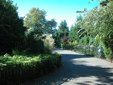 The best things to do in Bay Ridge