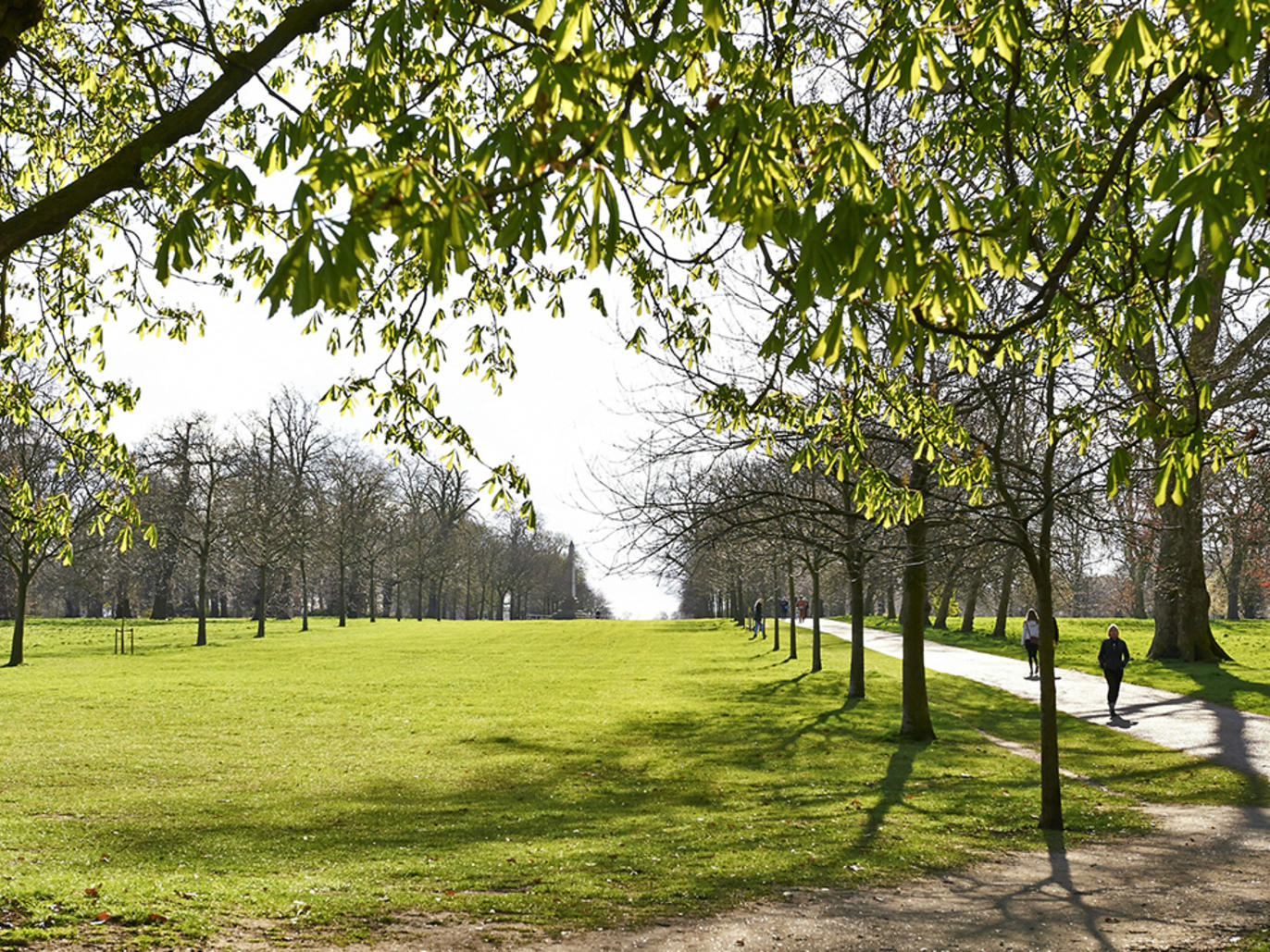 17 Best Parks and Grand Green Spaces in London | London's Major Parks