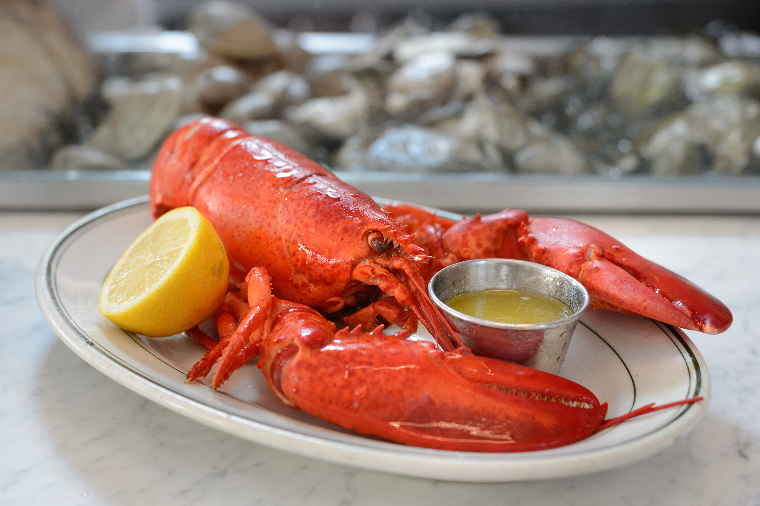 Seafood market and restaurant Greenpoint Fish & Lobster Co now open