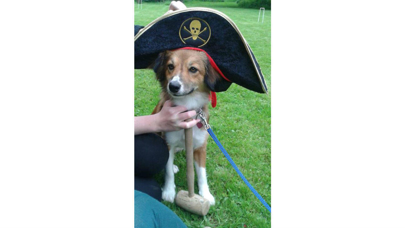 The cutest pet dogs in London – Time Out London