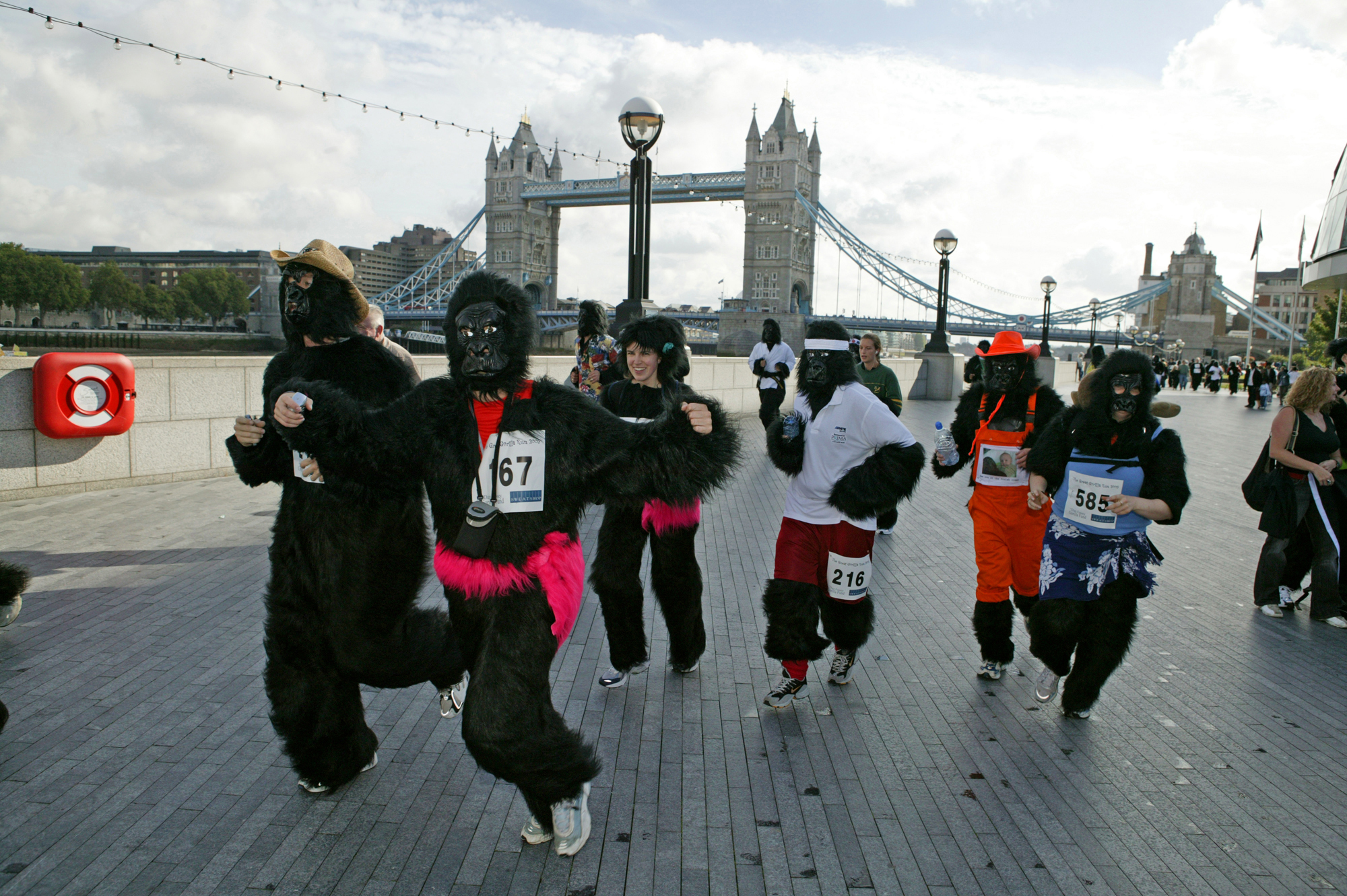 The Great Gorilla Run | Things to do in London