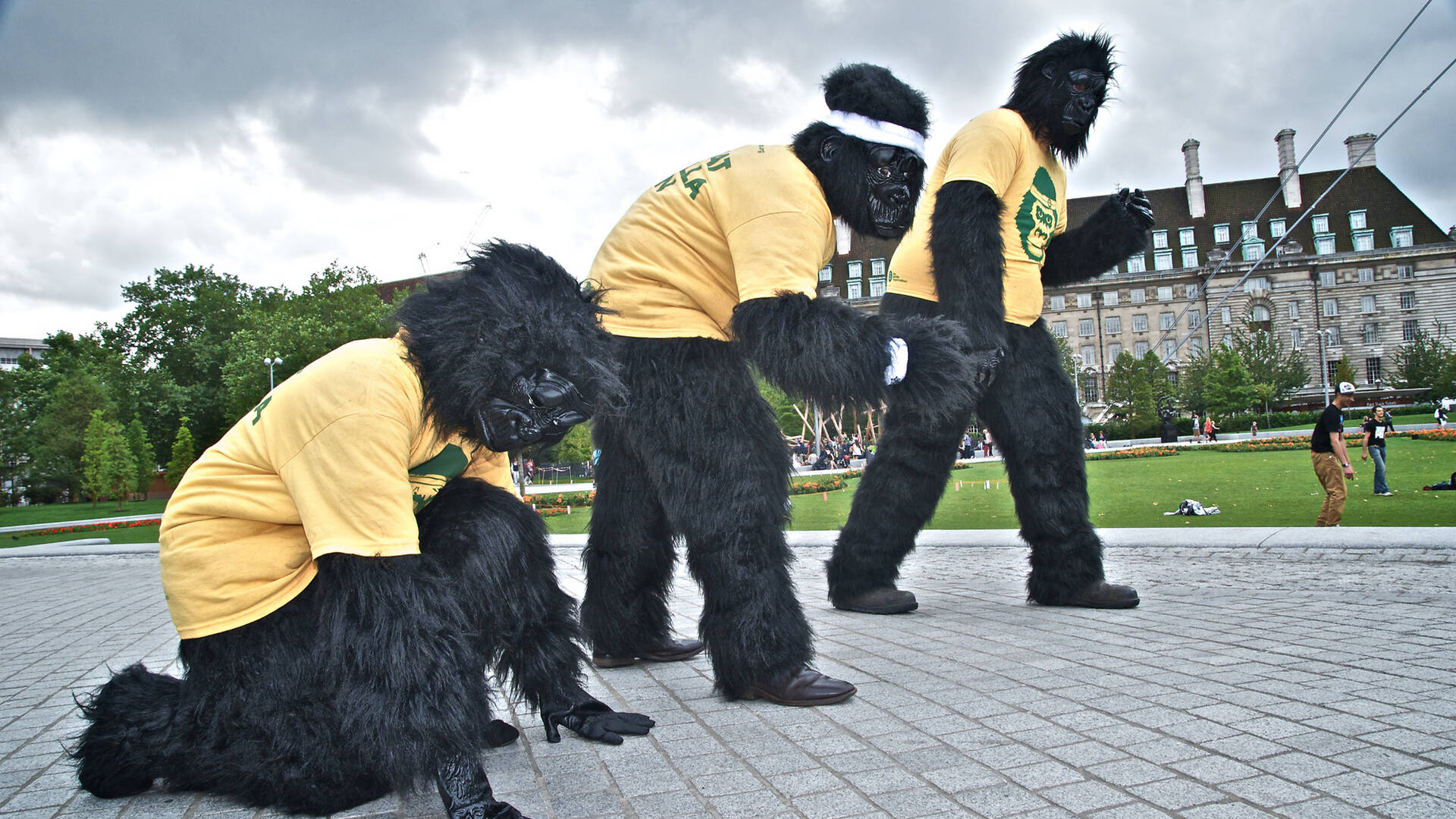 Great Gorilla Run 2013 | Sport and fitness in London