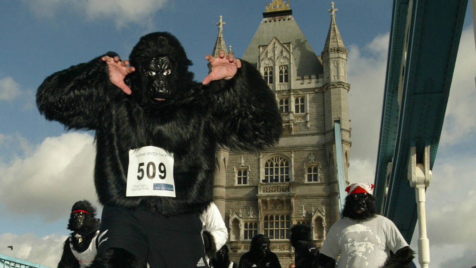 Great Gorilla Run 2013 | Sport and fitness in London