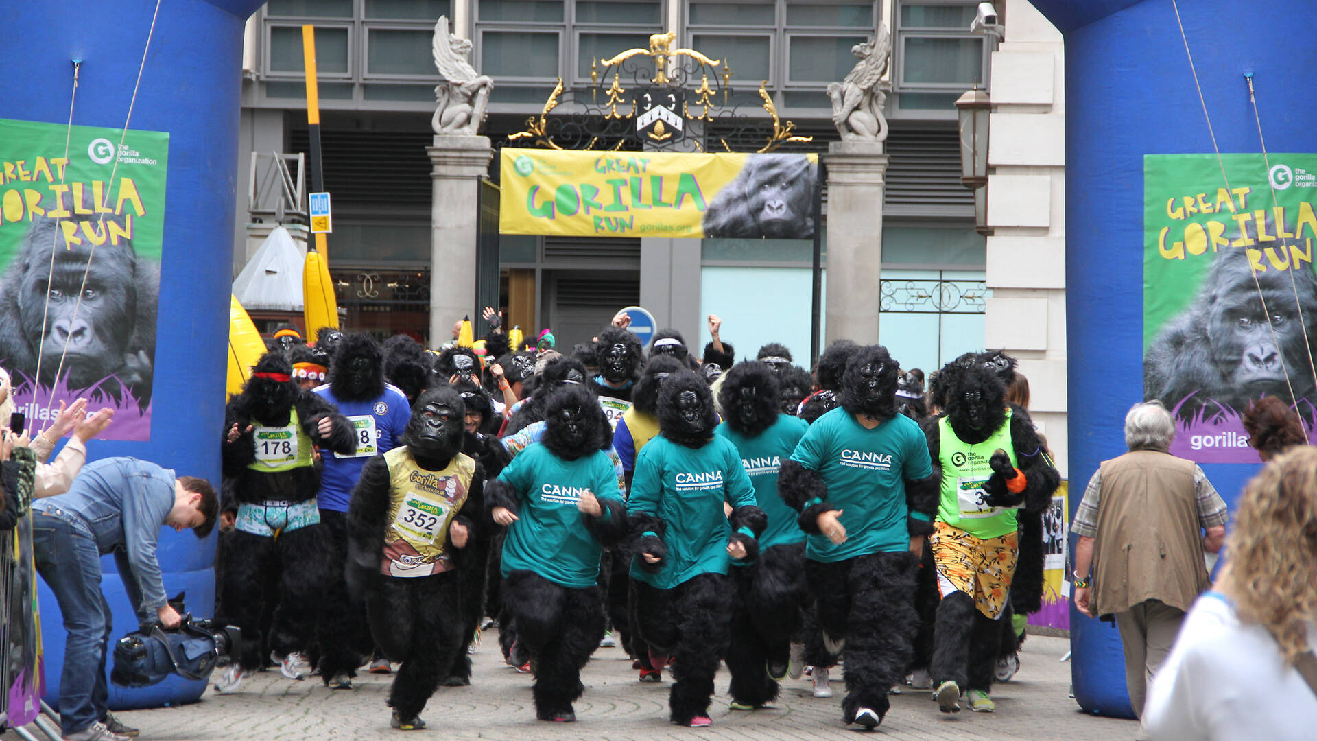 Great Gorilla Run 2013 | Sport and fitness in London