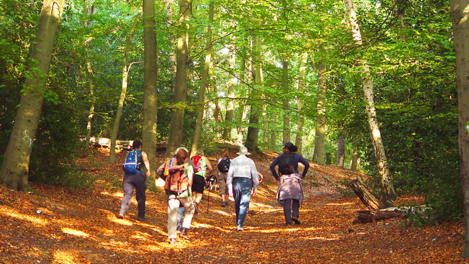 Walking the Capital Ring – a 70-mile self-guided walk around London