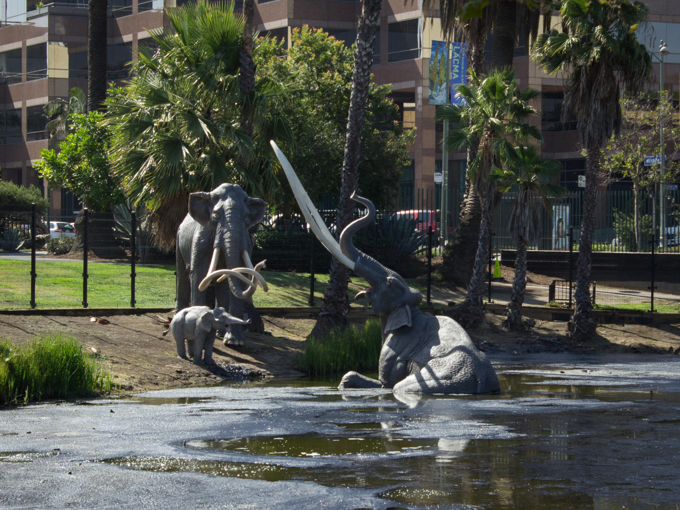 A guide to Miracle Mile shops, museums, restaurants and more