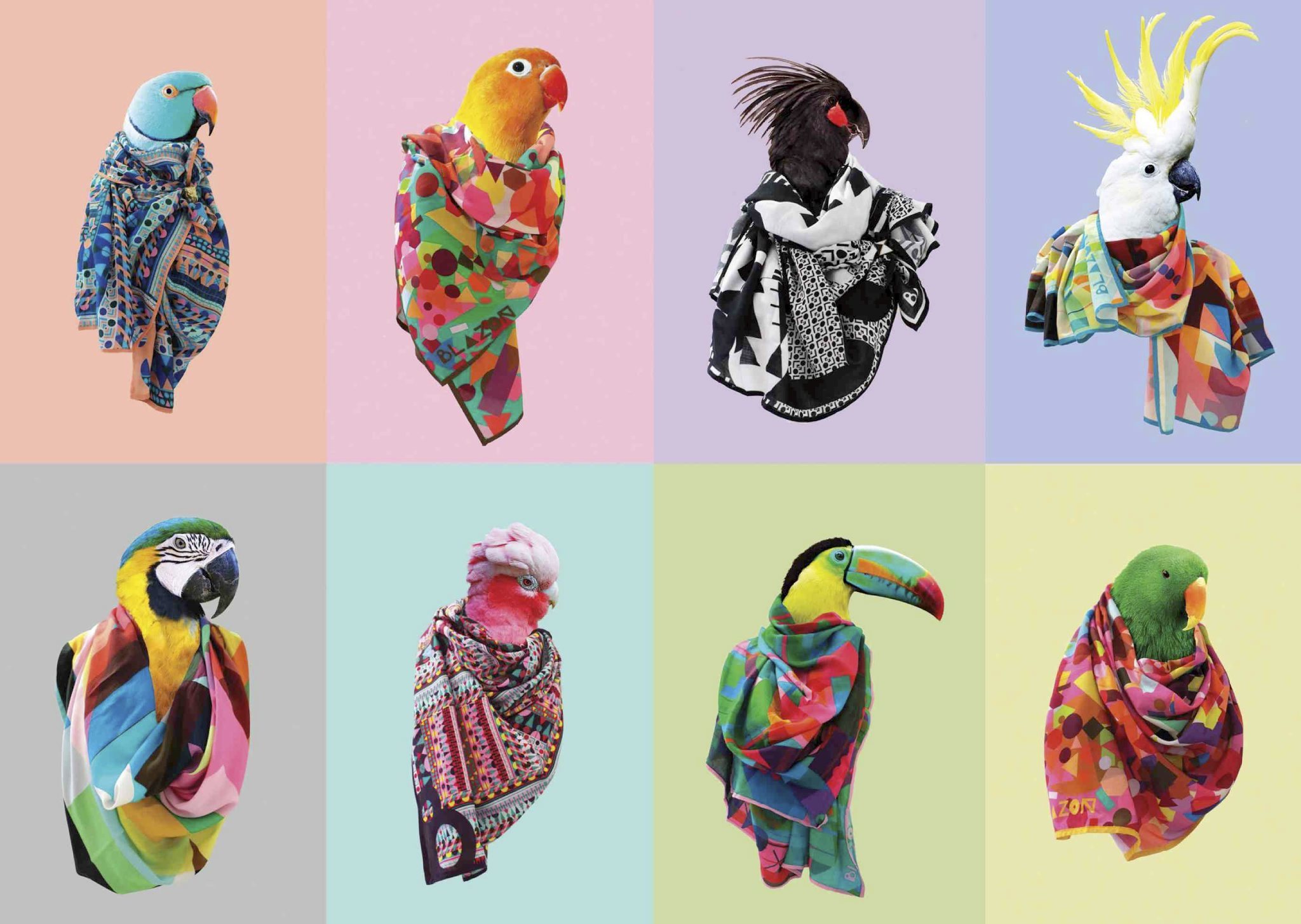 Blazon Pop-Up | Shopping in London