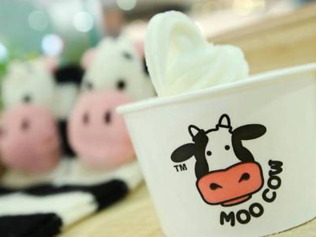 Moo Cow Frozen Yogurt | Restaurants in George Town, Penang