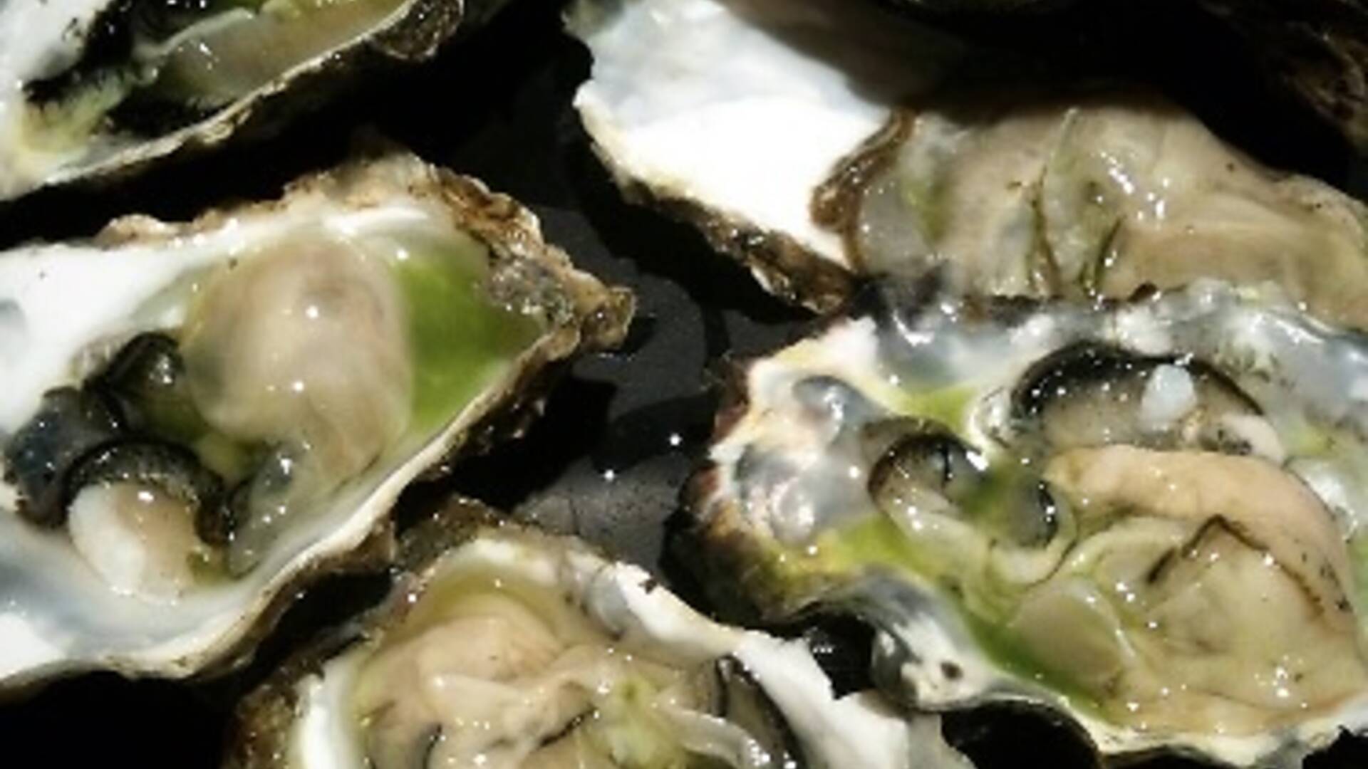 Platea Madrid, un espectáculo para los cinco sentidos