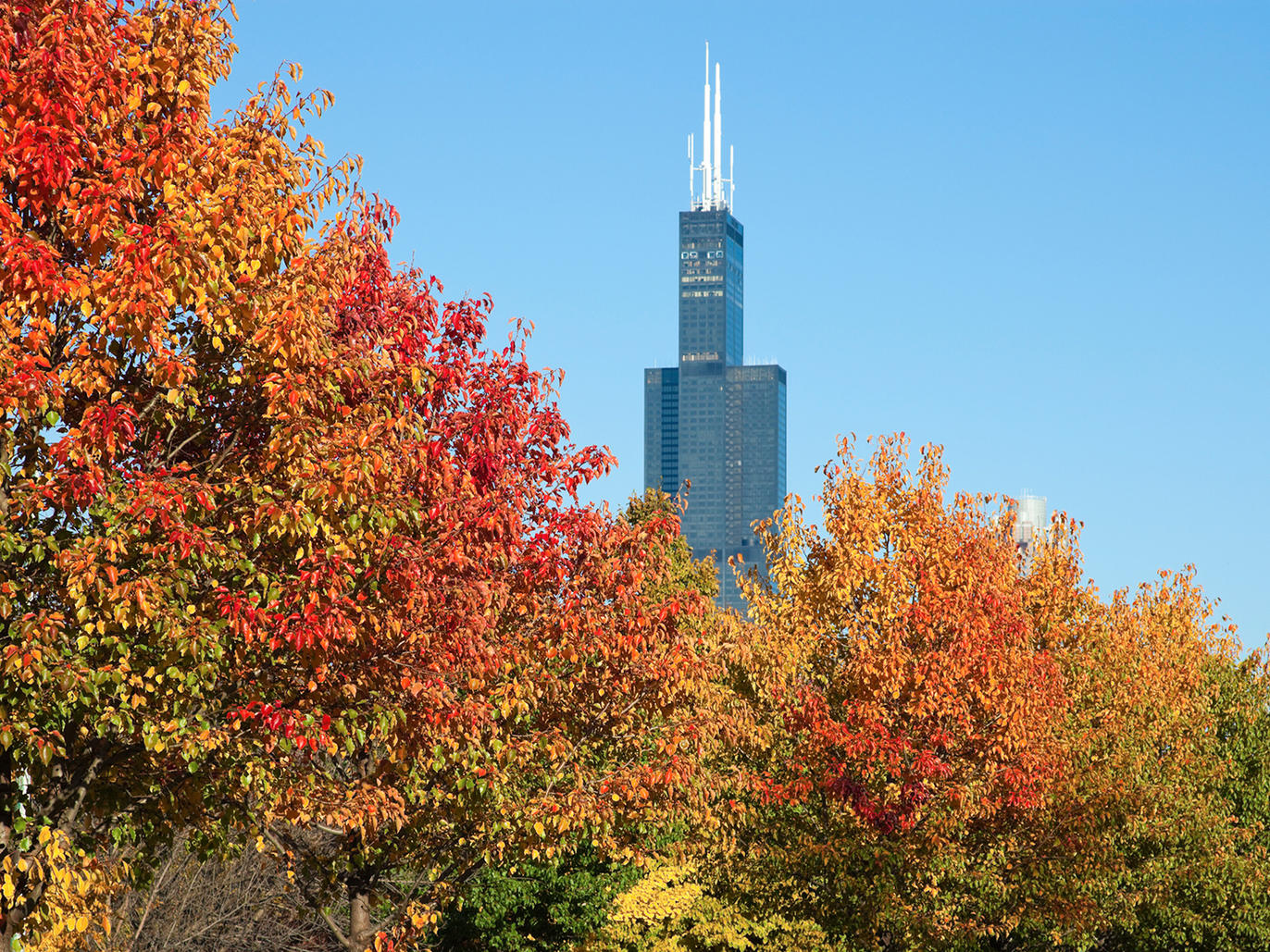 33 reasons fall in Chicago is the best