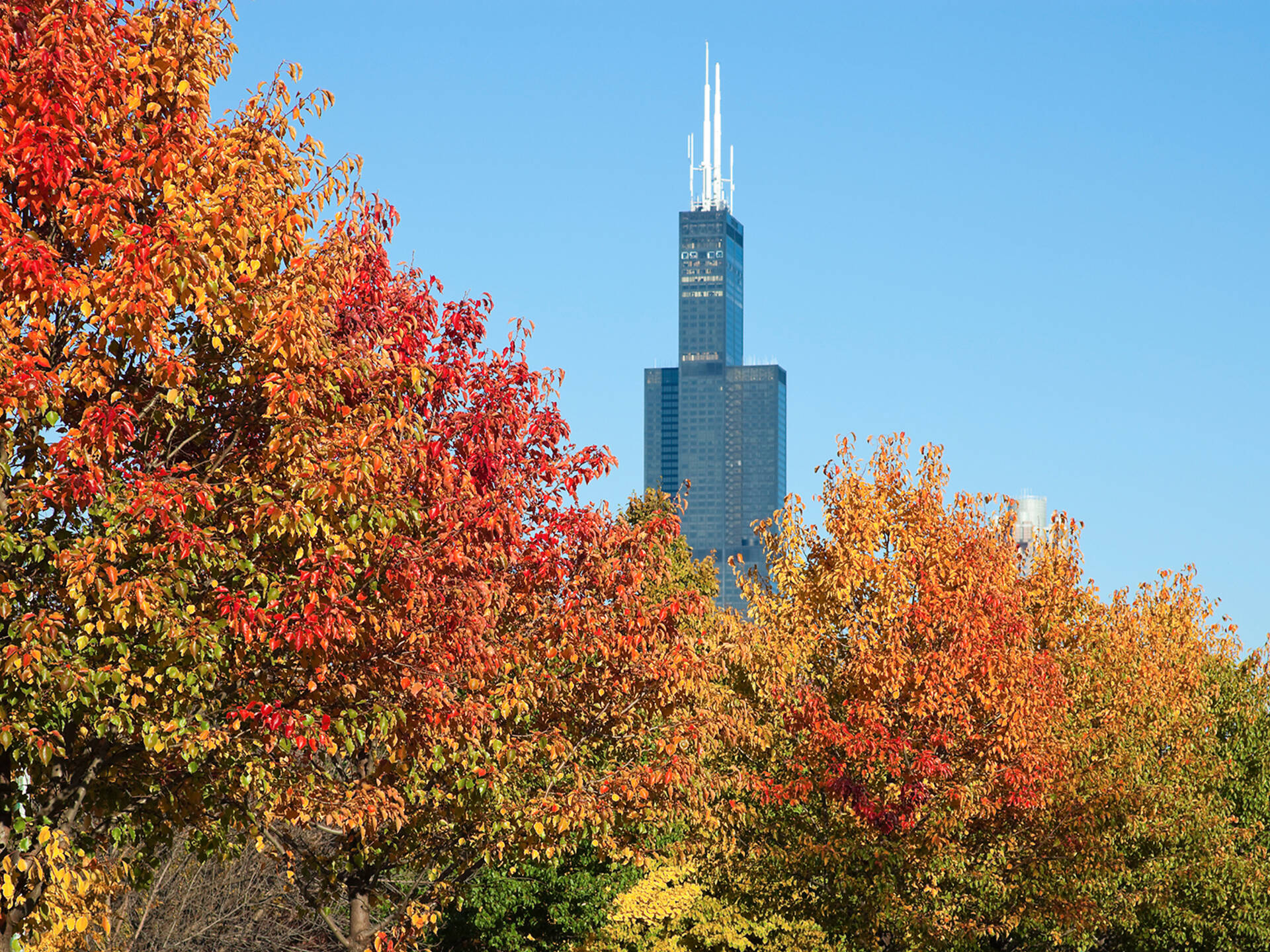 33 reasons fall in Chicago is the best