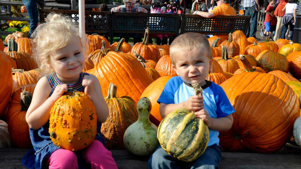 Bengston's Pumpkin Farm | Attractions in Suburbs, Chicago