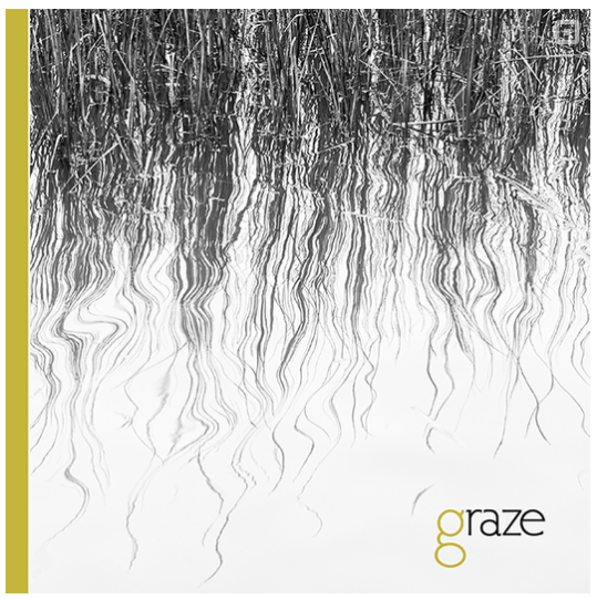Graze Issue 6 Release Party | Restaurants in Chicago