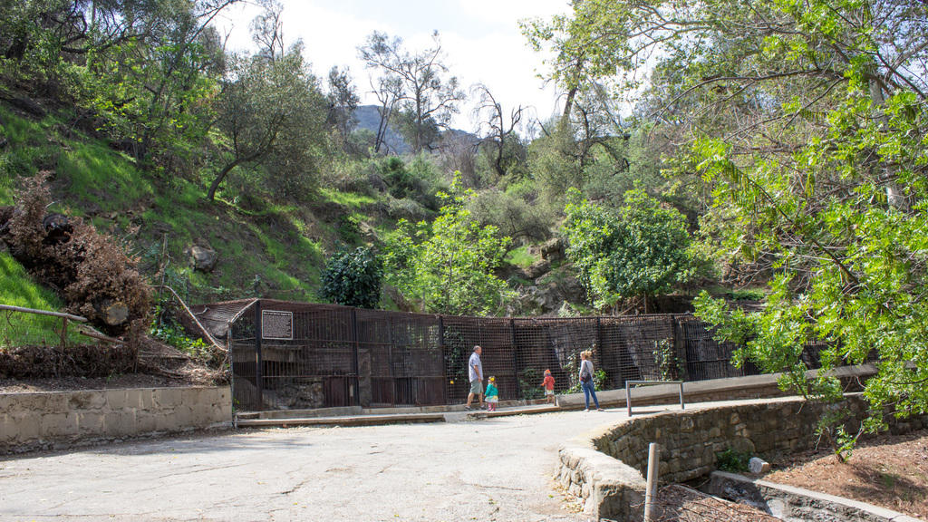Things to Do in Griffith Park, L.A.'s premier park