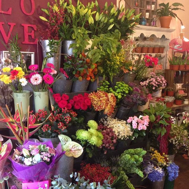 Northern Flower | Shopping in Manchester