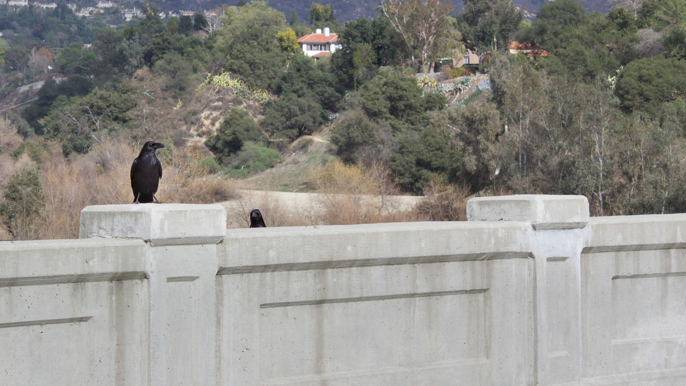 Devil's Gate | Things to do in Pasadena, Los Angeles